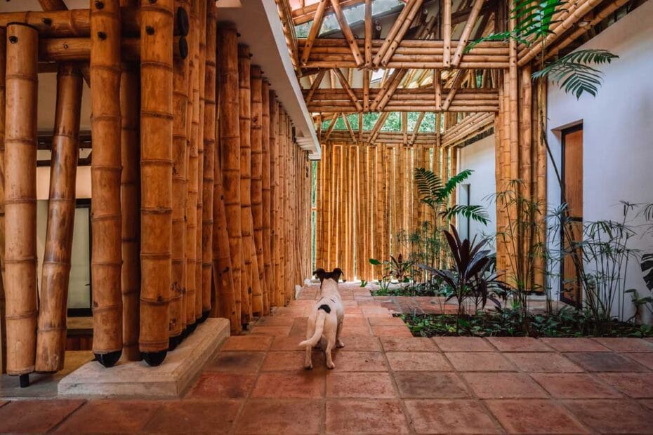 Fabulous Bamboo Interior Design • 333k+ Inspiring Lifestyle Ideas